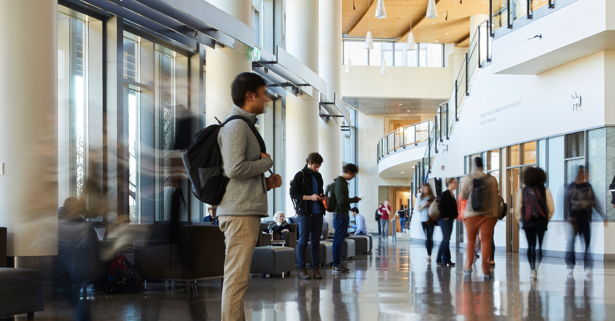 Student Experience | Technological Innovation, Entrepreneurship ...