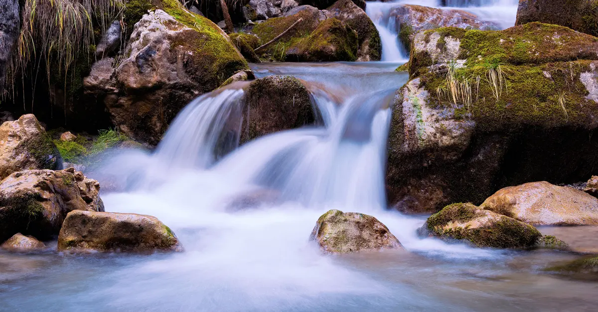 ESG ratings: Don’t throw the baby out with the bath water | MIT Sloan